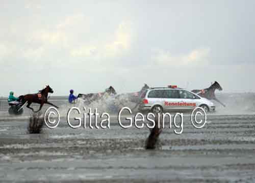 Willkommen bei Photo-Gesing