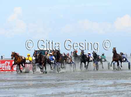 Willkommen bei Photo-Gesing