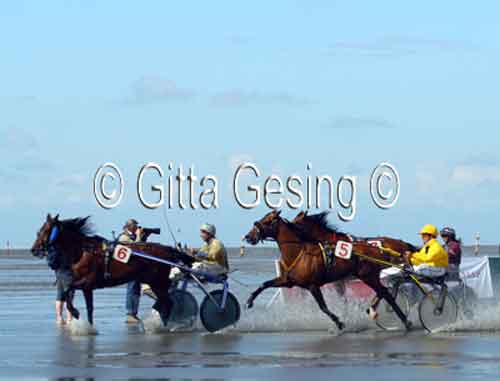 Willkommen bei Photo-Gesing